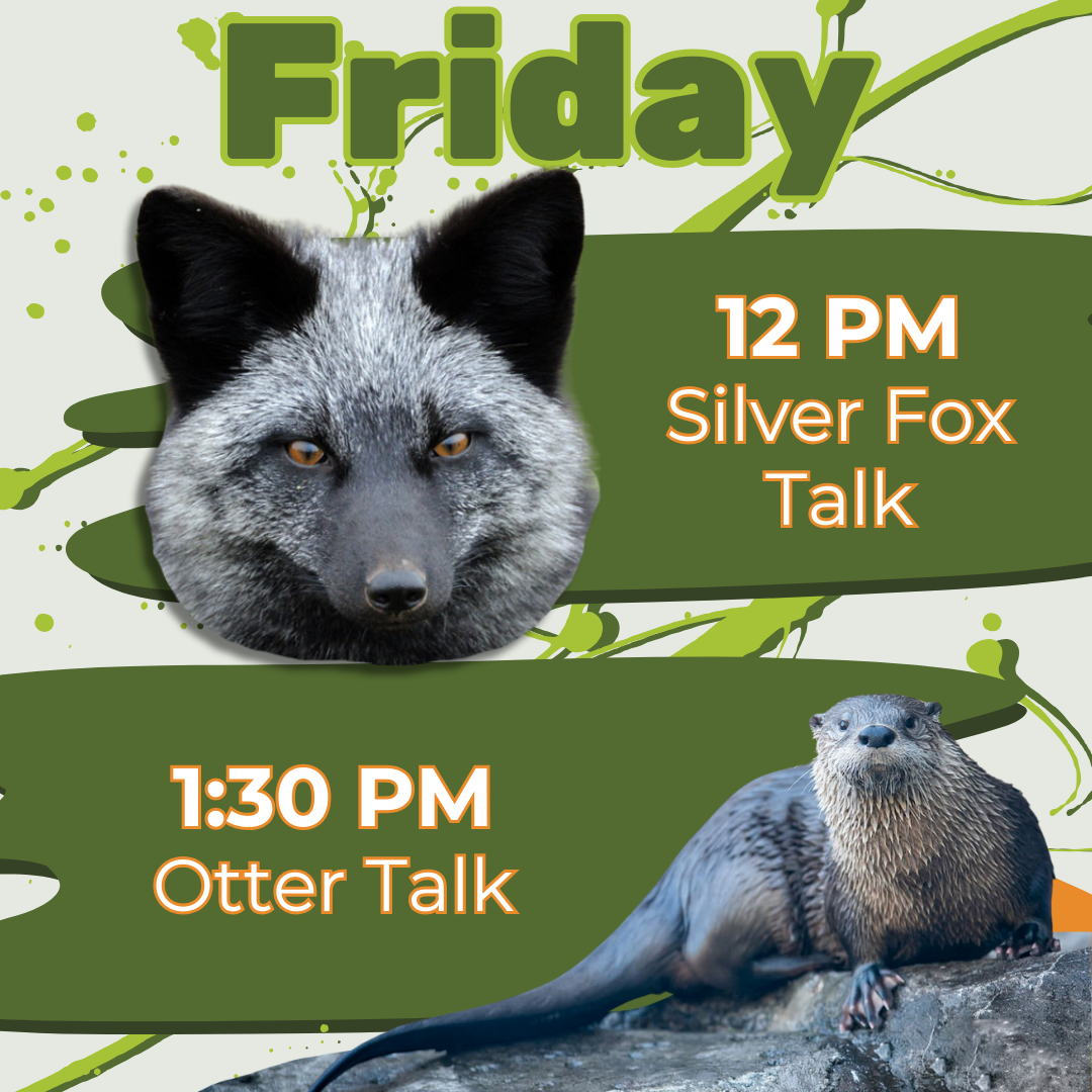 Keeper Talks - Perfect Duluth Day